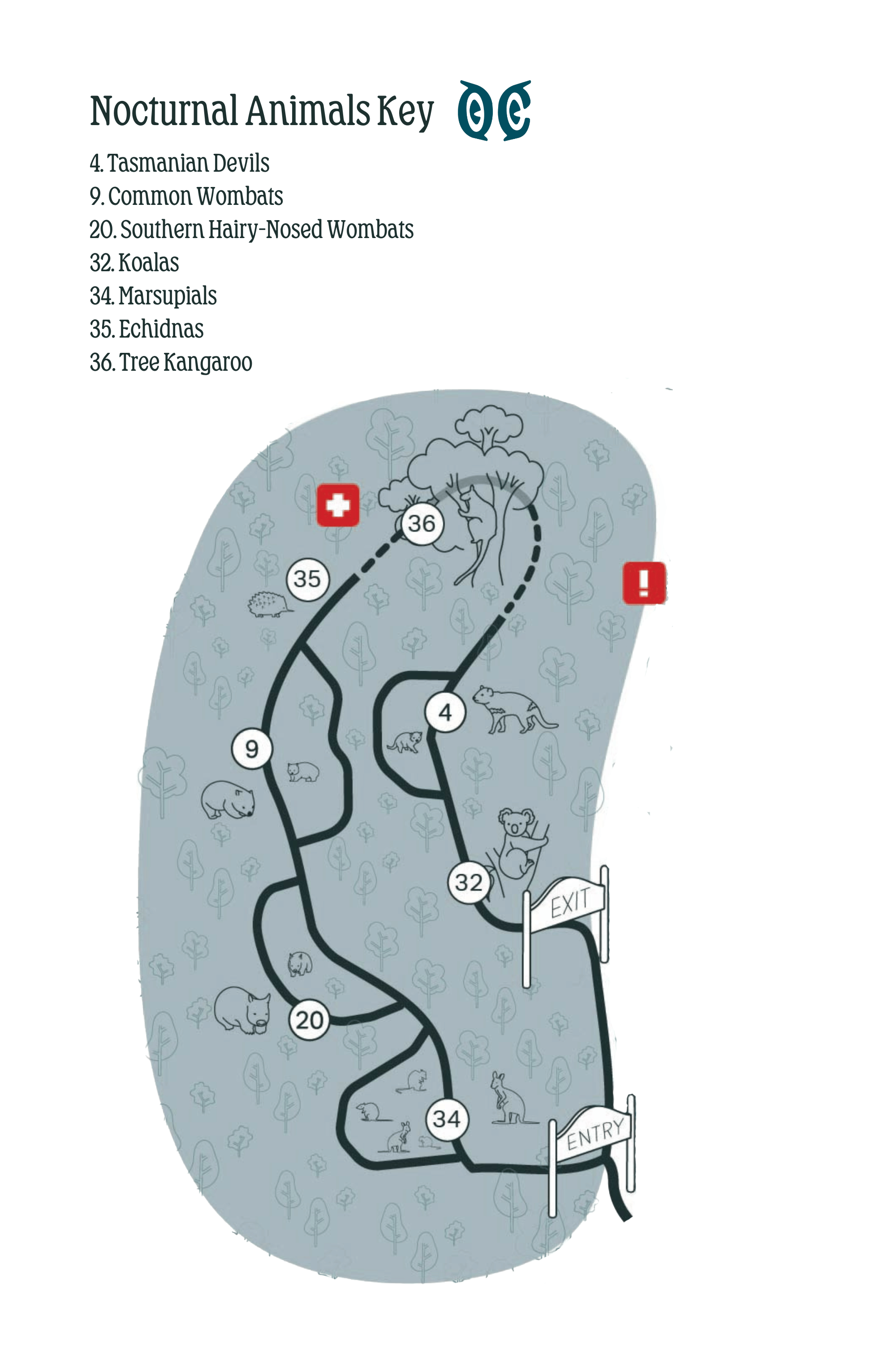 Nocturnal Night Tours – Discover Your Sanctuary at Night