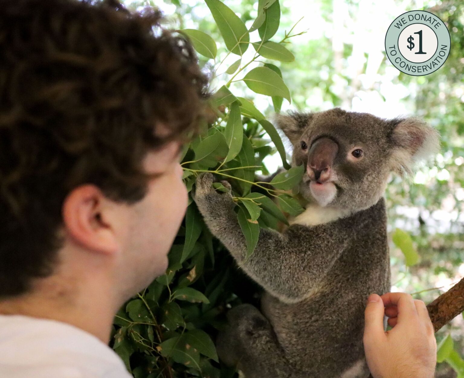 Photo Opportunities | Lone Pine Koala Sanctuary